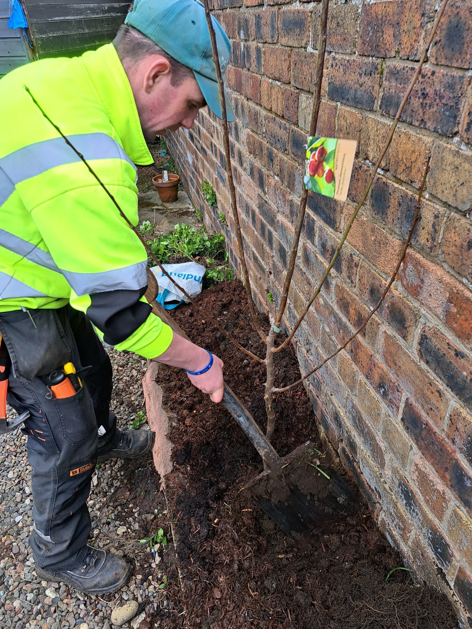 Climate Action Fife | A Fruit Tree for Every Garden in Fife ...