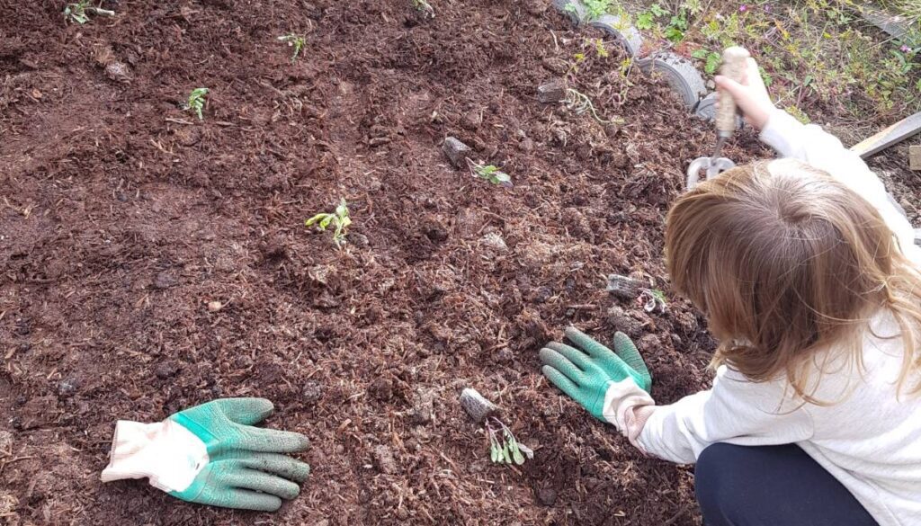 Climate Action Fife | Composting for beginners!